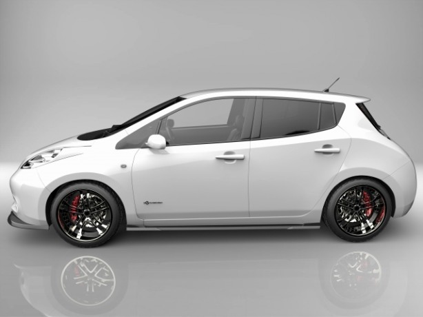 リーフ - AZE0 ZE0 前期 後期 アンダースポイラータイプ エアロパーツ > リーフ AZE0 ZE0 前期 後期 フロントアンダースポイラー サイドステップ 2点キット エアロパーツ ...